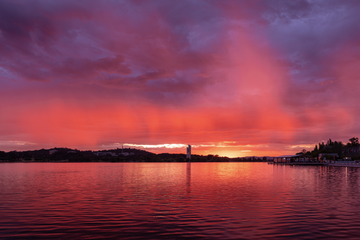 Nature Through the Lens: Adrian Fallace Exhibition Opens at The Link ...